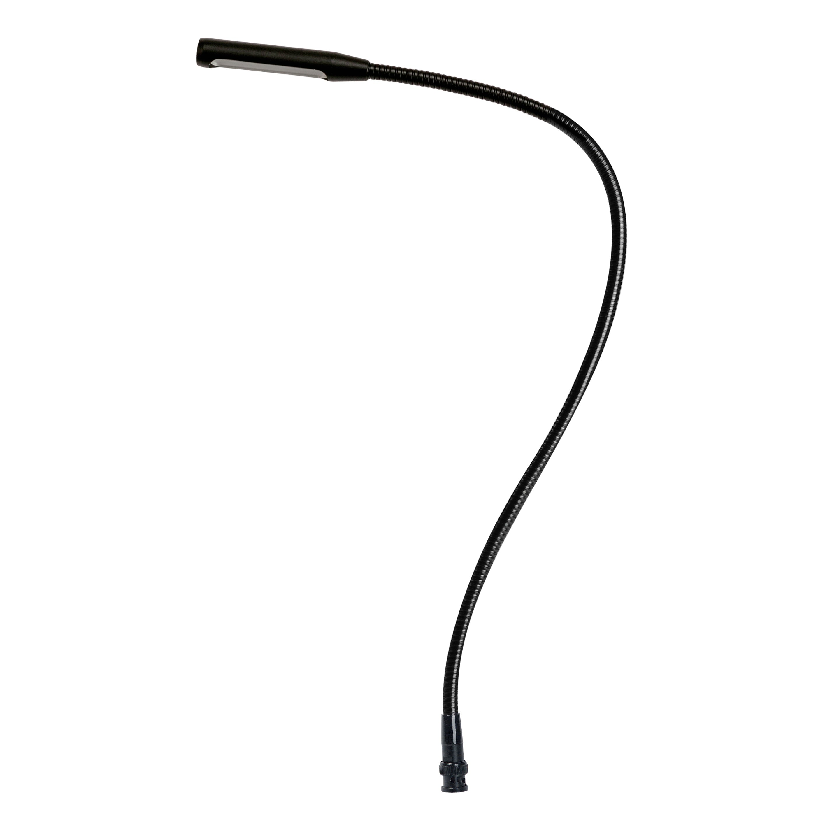 PROEL SDC670PRO LED gooseneck lamp with BNC straight connection – Risko ...