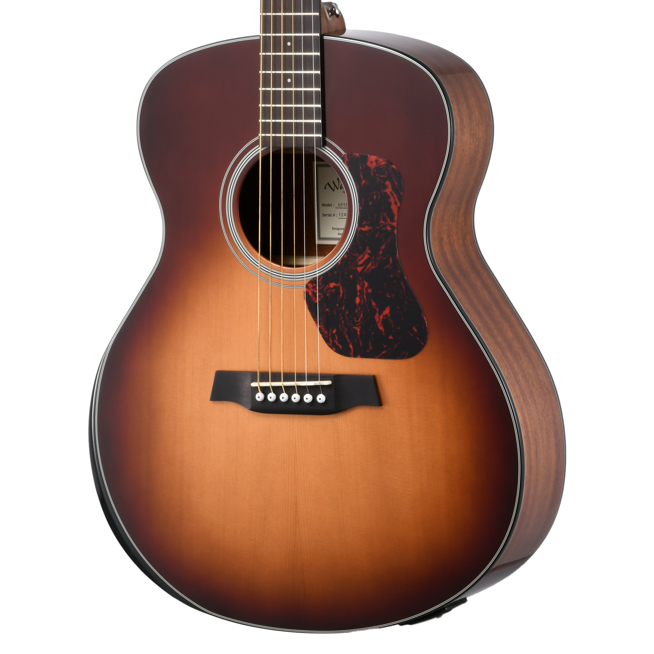 Walden GuitarsG550REAB-G Natura Solid Spruce Top Armrest Grand ...
